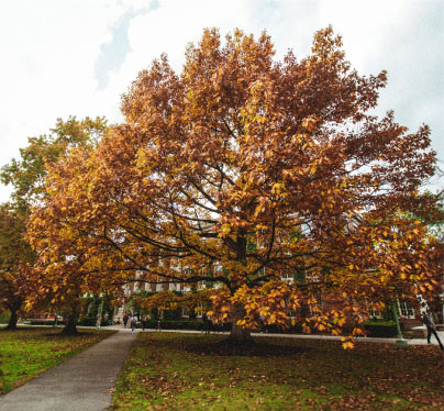 Well-U Wellness Challenges at University of Rochester: Something for ...